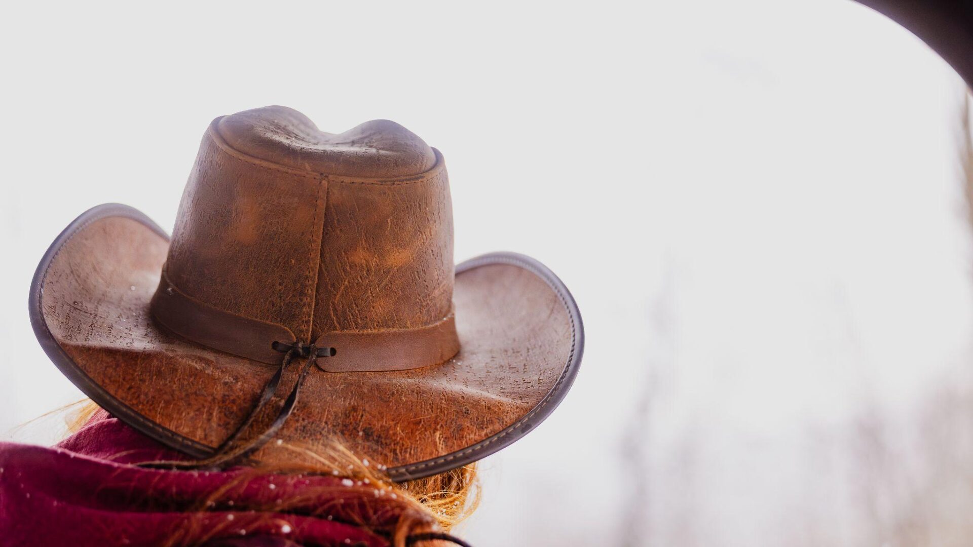 Riffle Farms: A Bison Farm in the Mountain State - West Virginia Small ...